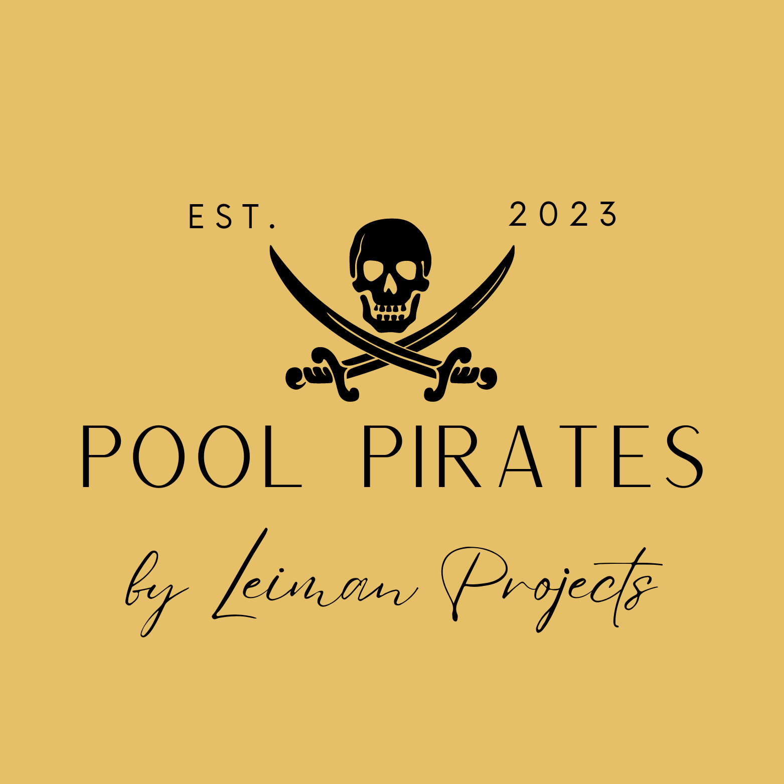 Pool Pirates by Leiman Projects | Pool Construction Company